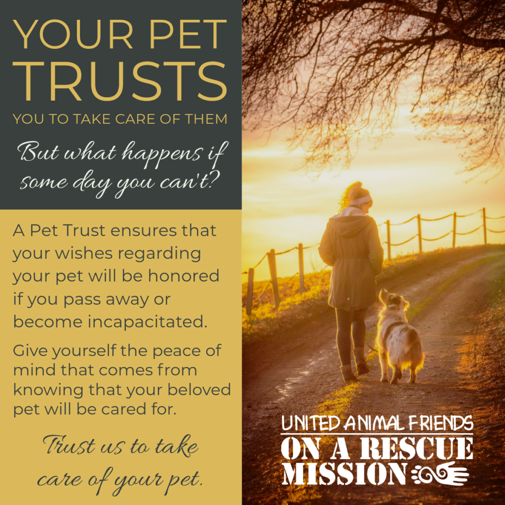 Pet Trust Program | United Animal Friends